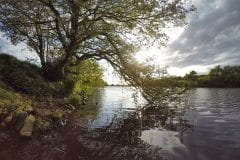 Heapey Lodge 2 - (Number 2) Chorley | Fishing in Lancashire